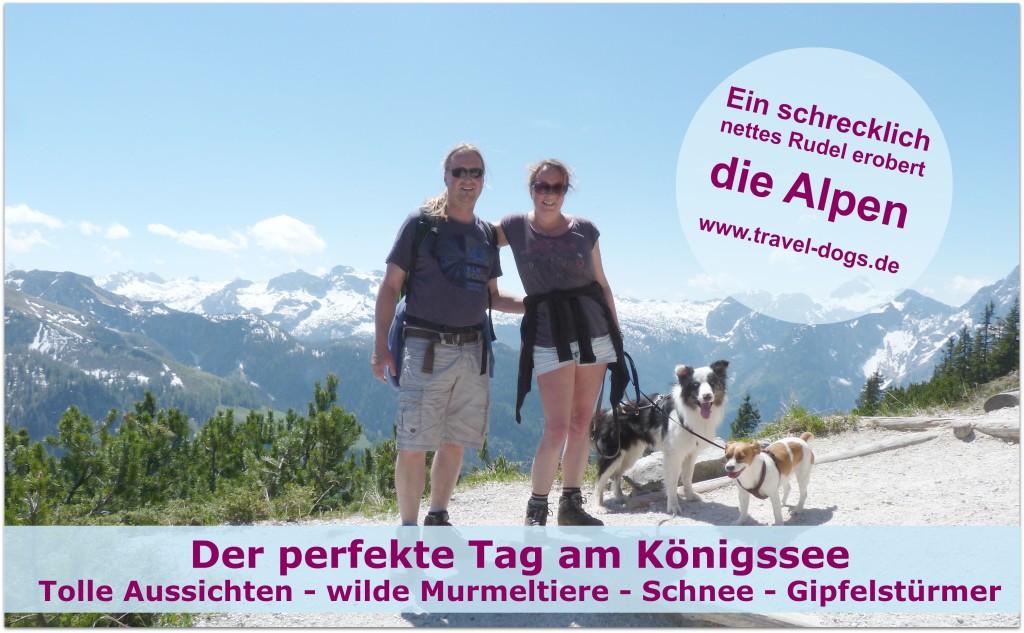 Rund um den Königssee - mit Hund(en) in den Alpen Teil III - travel-dogs.de